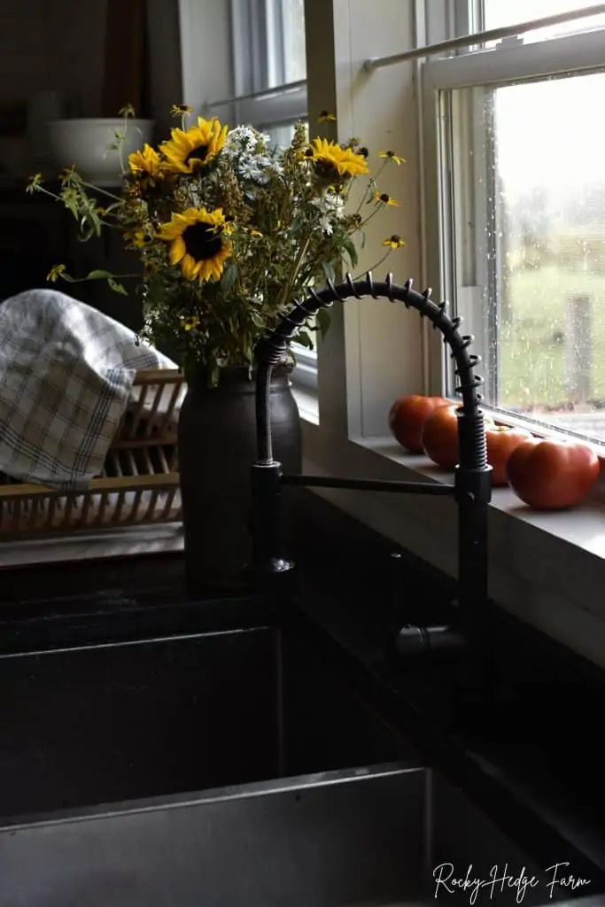 Easy Tips on How to Dry Sunflowers - Rocky Hedge Farm