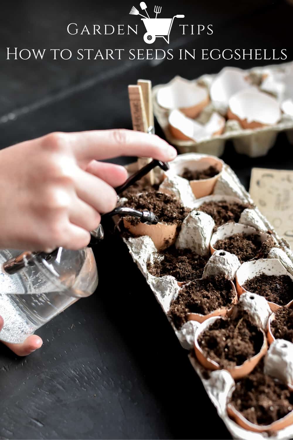 Starting Seeds in Eggshells - Rocky Hedge Farm