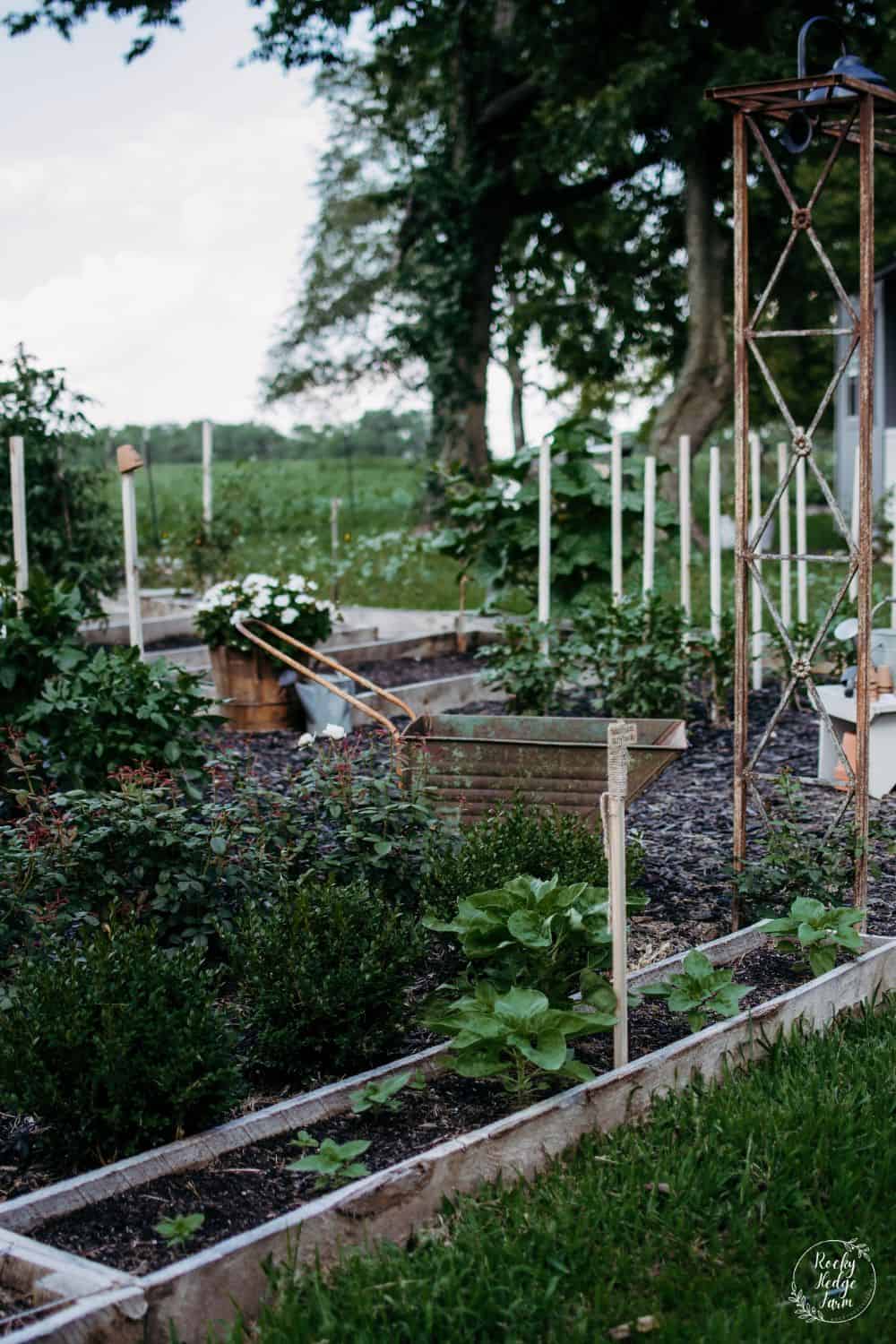 Beautiful Garden at Home - Rocky Hedge Farm