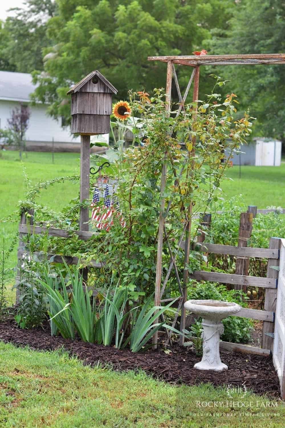 Creating a Beautiful Vegetable Garden - Rocky Hedge Farm