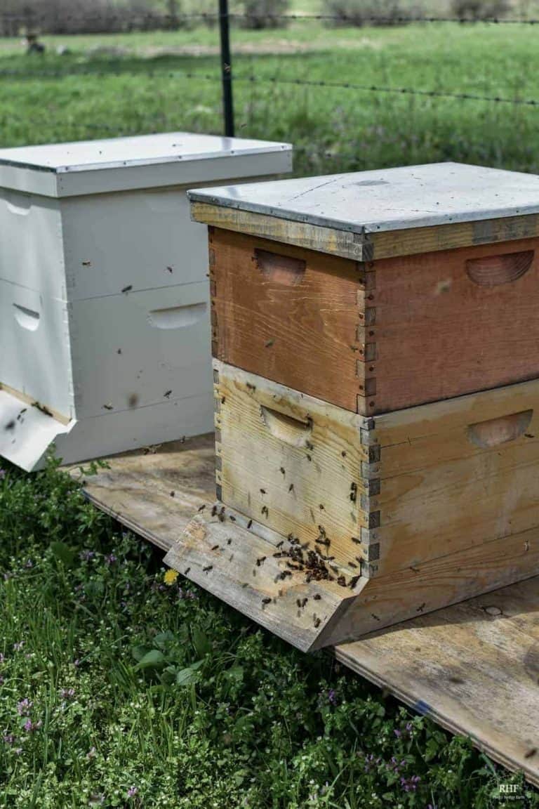 Parts of a Langstroth Beehive Structure - Rocky Hedge Farm