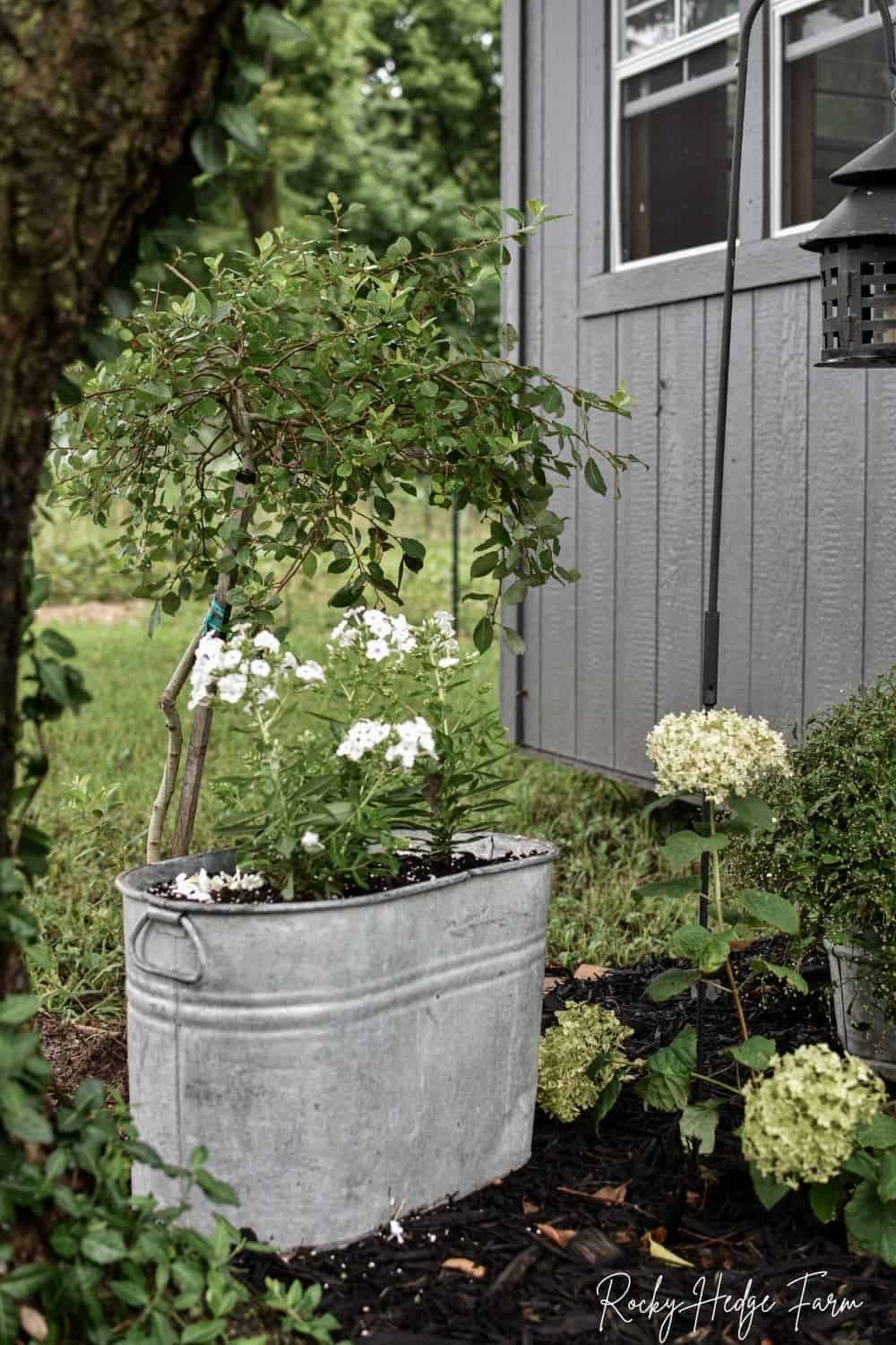 Rustic Garden Decor Ideas and Design - Rocky Hedge Farm