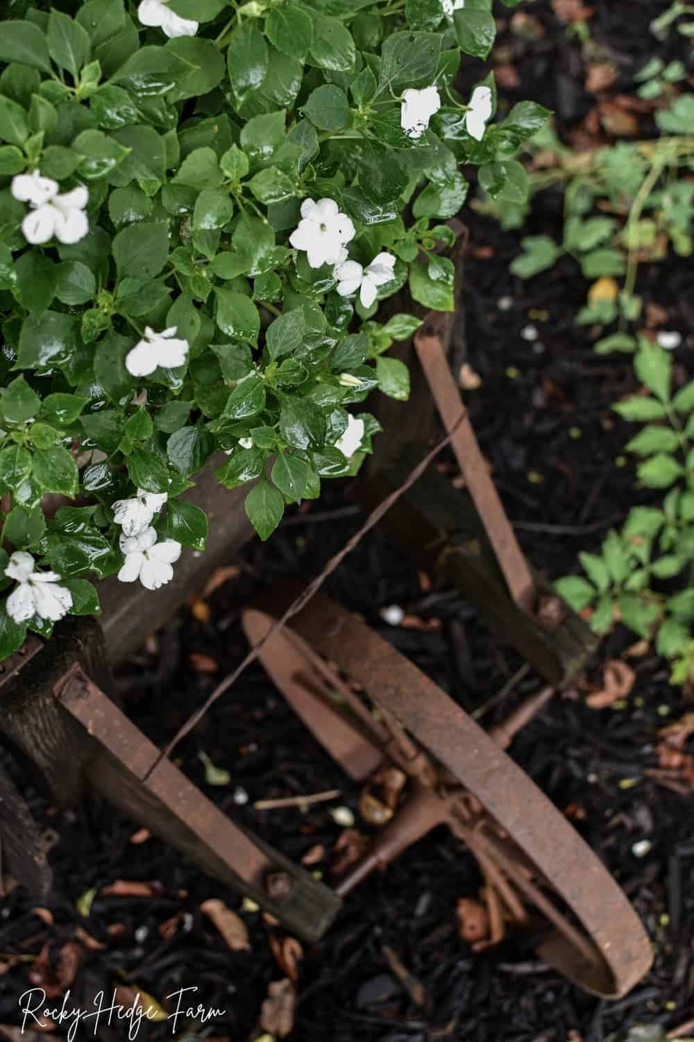 Rustic Garden Decor Ideas and Design - Rocky Hedge Farm