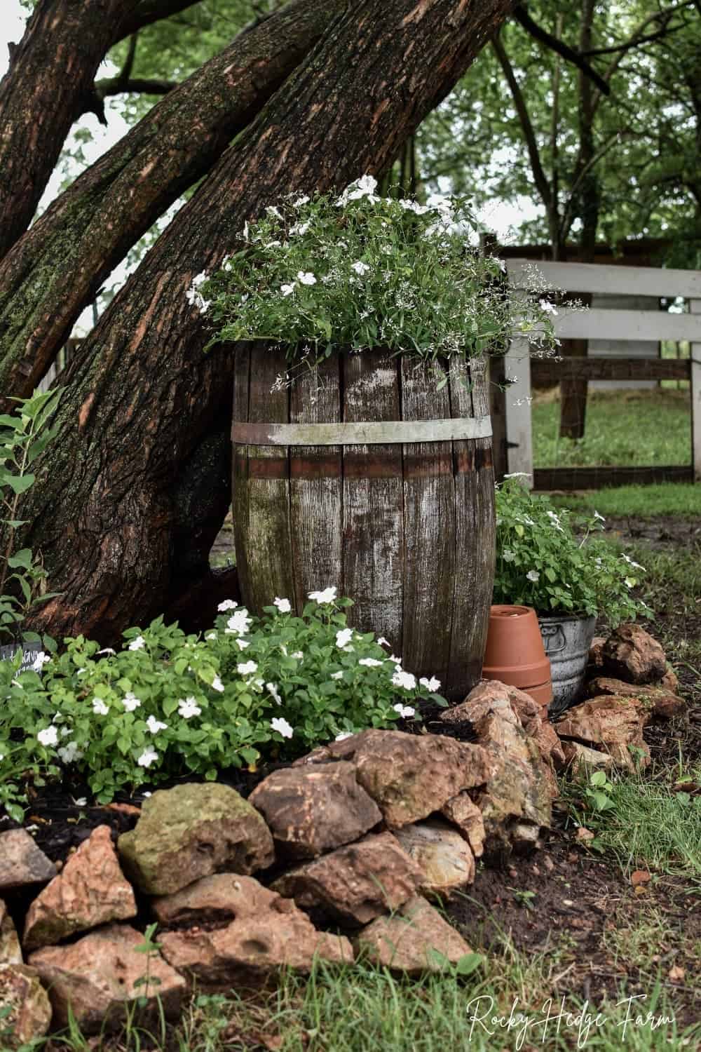 Rustic Garden Decor Ideas and Design - Rocky Hedge Farm