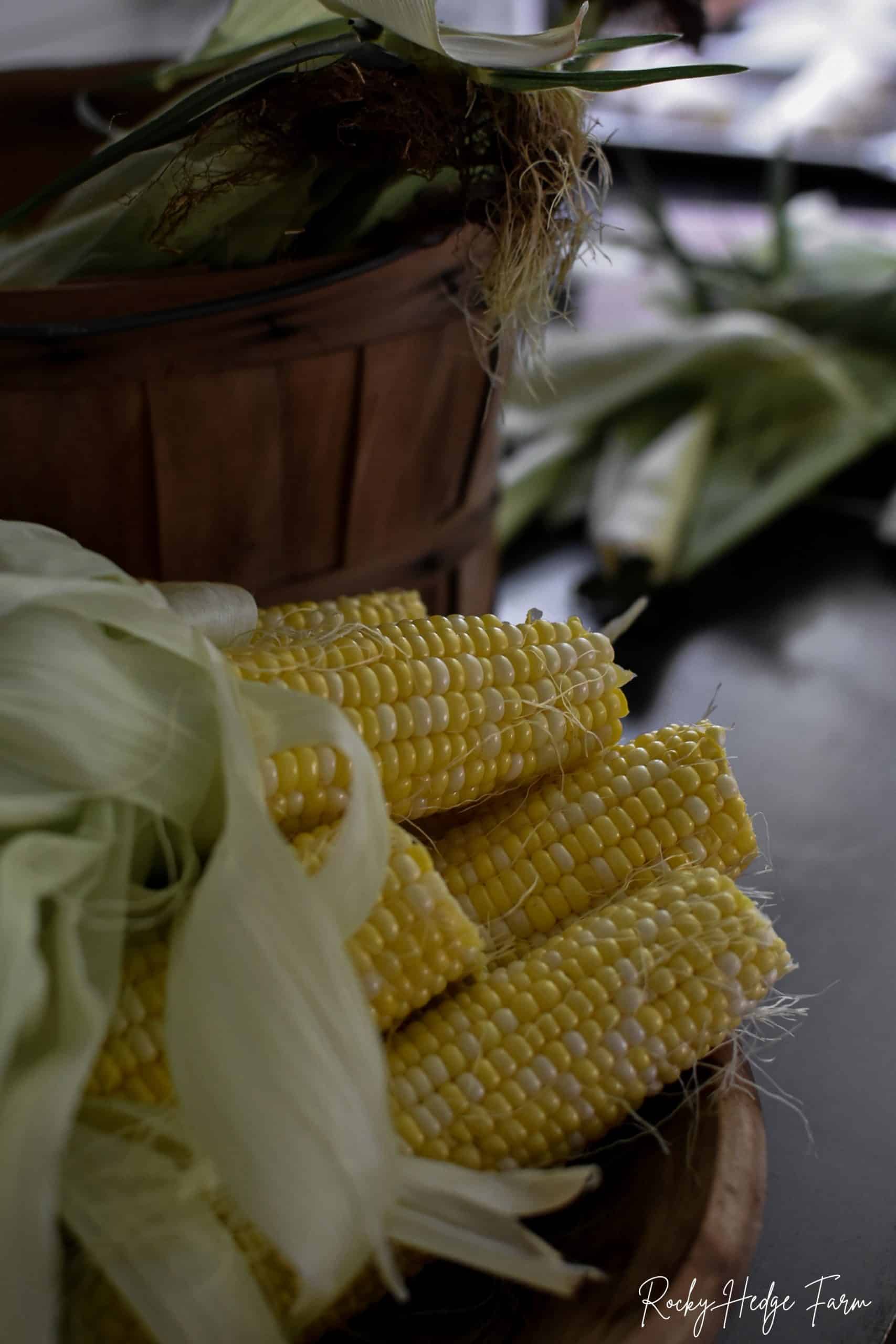 Grilled Corn on the Cob Recipe (With Husks) - Rocky Hedge Farm