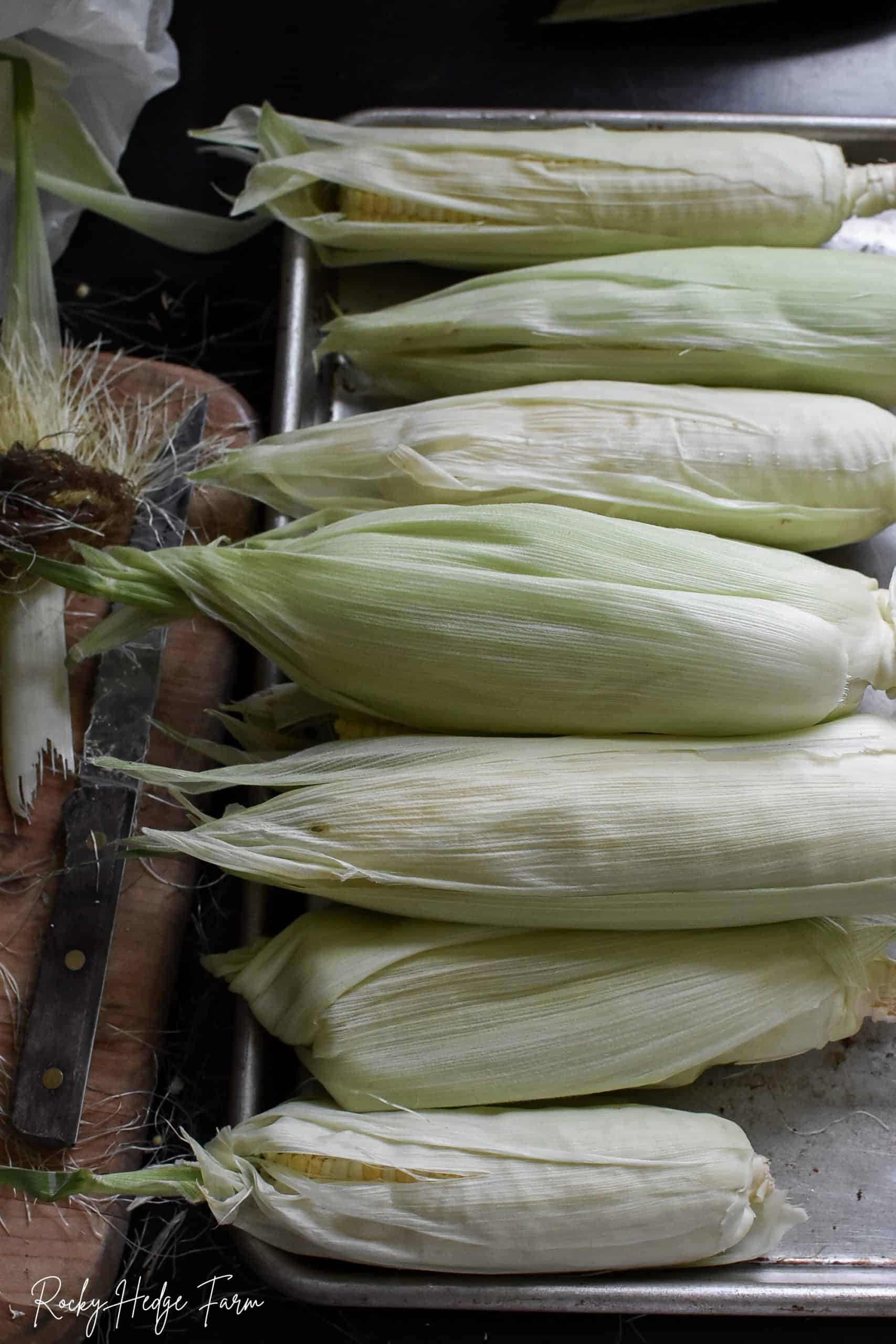 Grilled Corn on the Cob Recipe (With Husks) - Rocky Hedge Farm