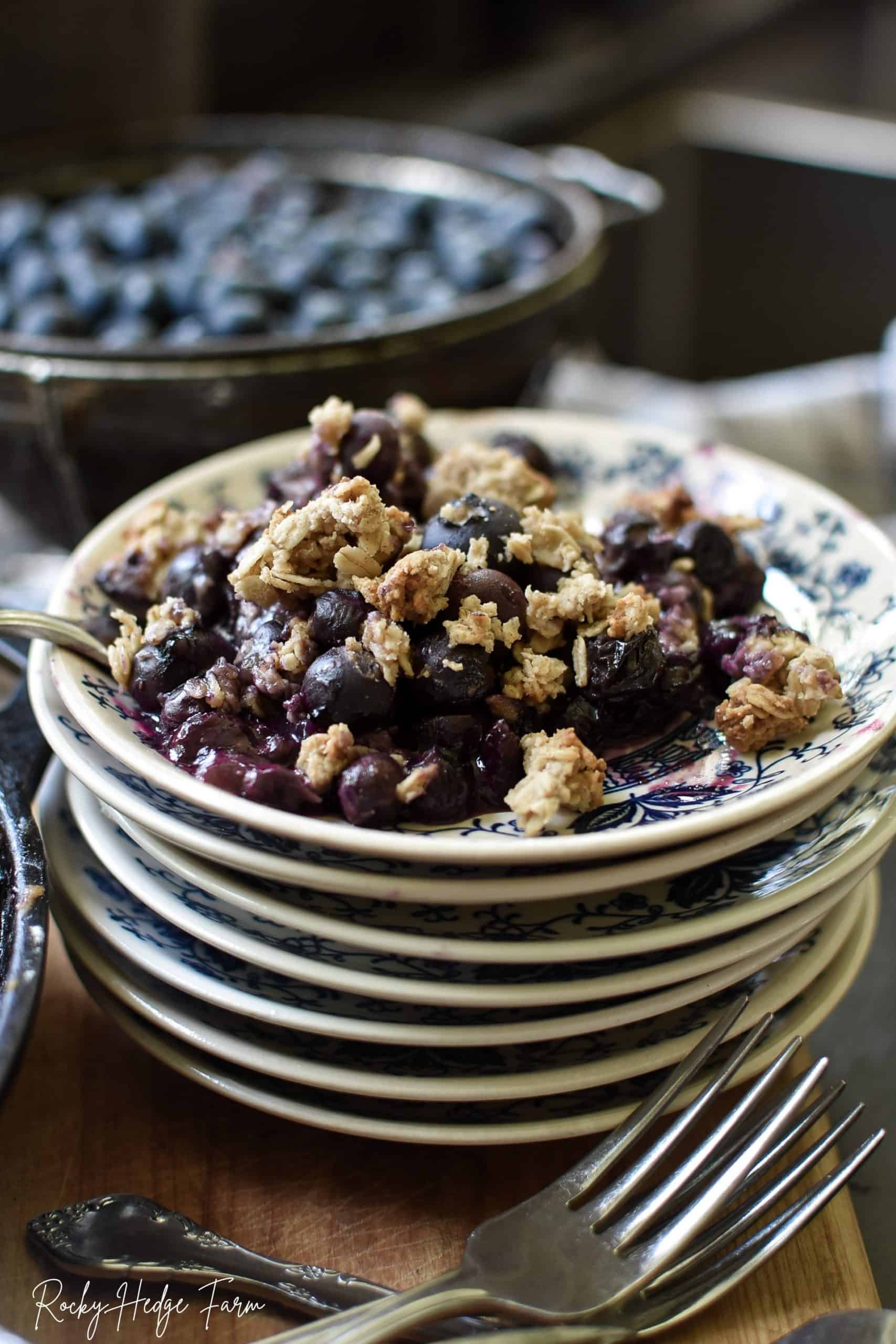 Blueberry Crisp Recipe - Rocky Hedge Farm
