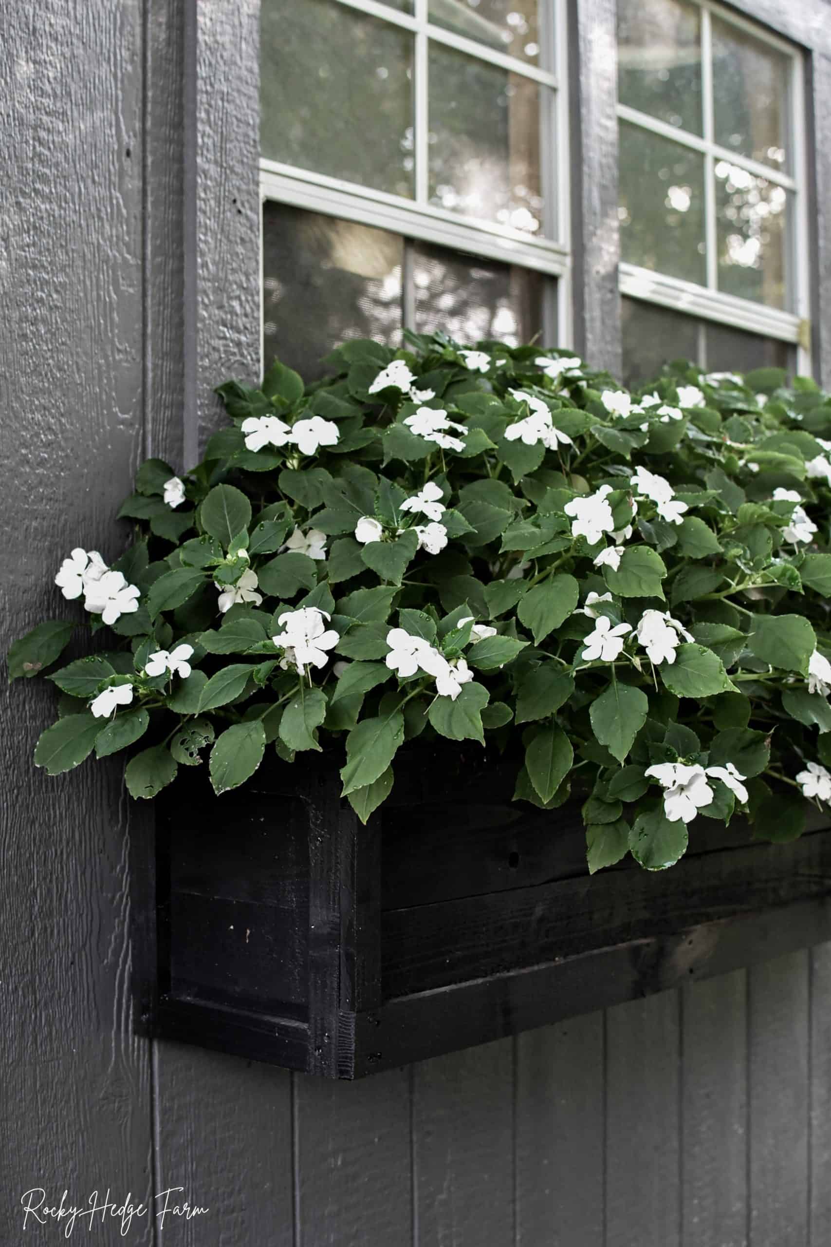 Flower Box Planter Flowers | Best Flower Site