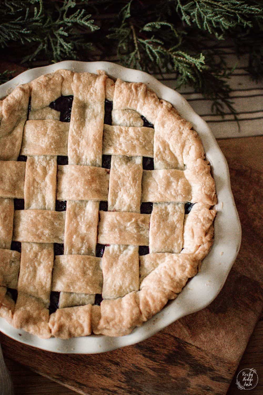Cherry Pie with Frozen Cherries - Rocky Hedge Farm