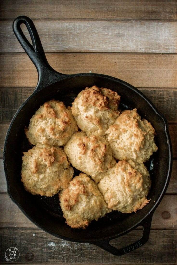 Buttermilk Drop Biscuits - Rocky Hedge Farm