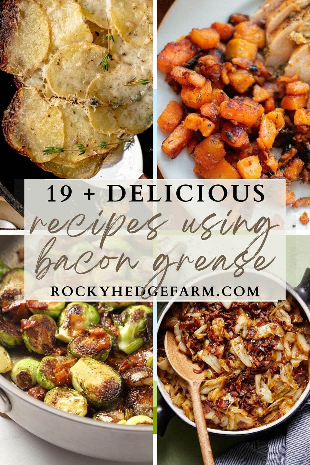 1 Gallon Sweet Tea Recipe: The Perfect Southern Refreshment - Rocky ...